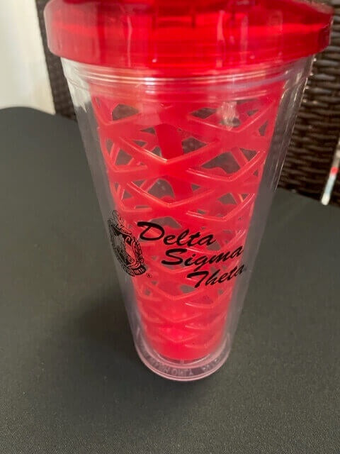 20 oz. fruit infusion double walled plastic insulated cup - Delta Sigm